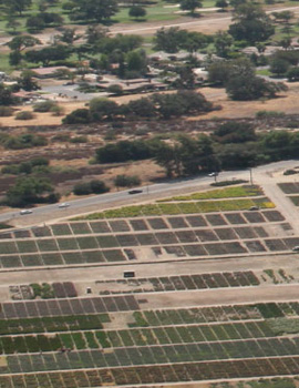 Home [www.yuimamwd.com]